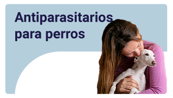 Compra Gsk Volumatic Camara de Inhalacion al mejor precio.