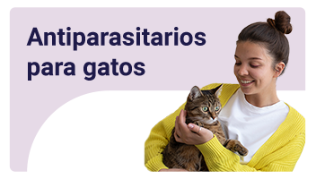 Levedol 60 Cápsulas para el Dolor Menstrual ¡Oferta!