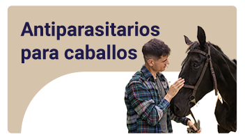 Compra Gsk Volumatic Camara de Inhalacion al mejor precio.