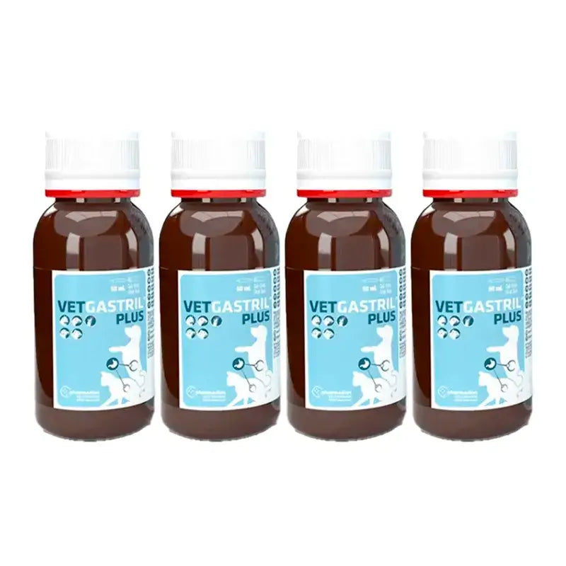 Compra Vetgastril Plus Protector Gástrico para Perros y Gatos, Pack 4 x ...